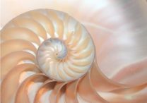 What Is So Sacred About The Number 108? – Himalayan Yoga Institute